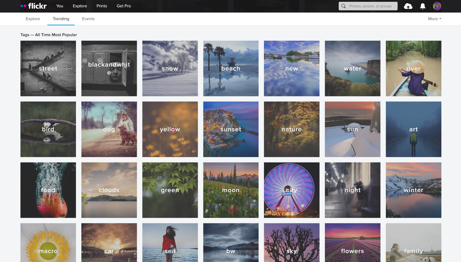The Best Google Photos Alternative | Excire